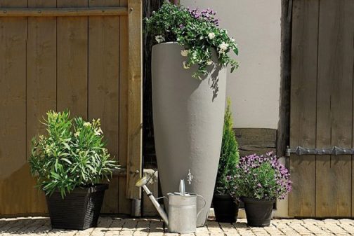 5 ways to beautify your garden this spring - Decor Tips